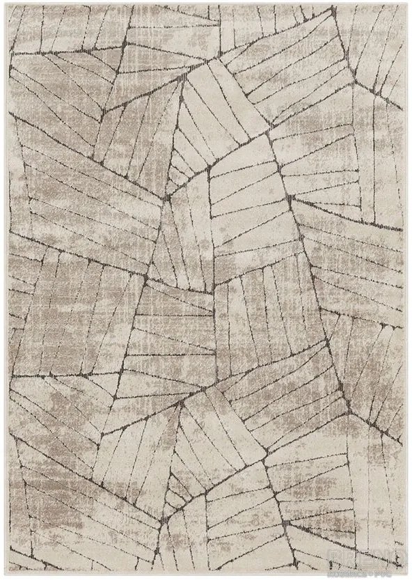 Breno Kusový koberec AMARNA 44004/E7CH, 200x285 cm, Vícebarevné/Béžová