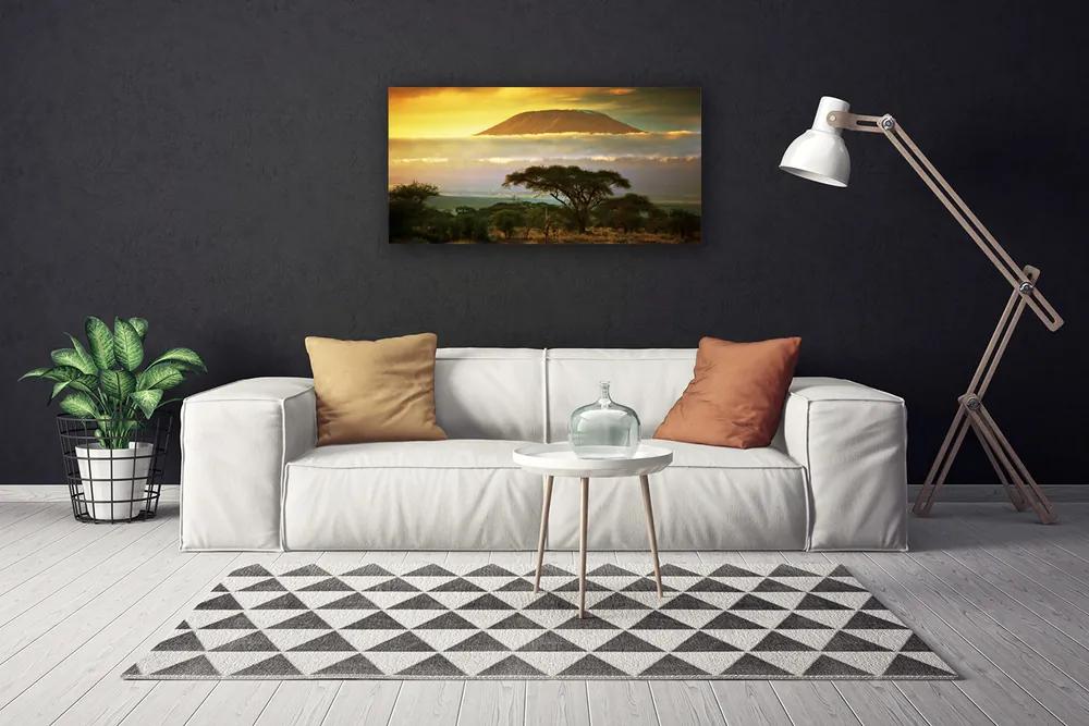 Obraz na plátně Strom Hory Příroda 120x60 cm