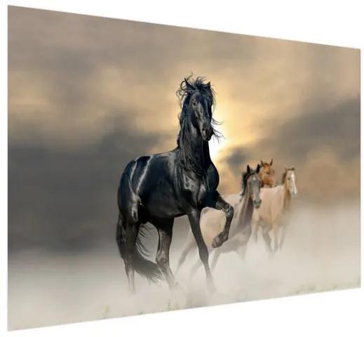 Fototapeta Nádherný černý kůň 200x135cm FT2491A_1AL
