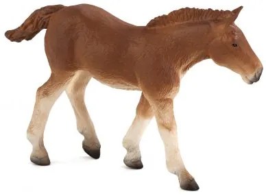 Mojo Suffolk Punch hříbě