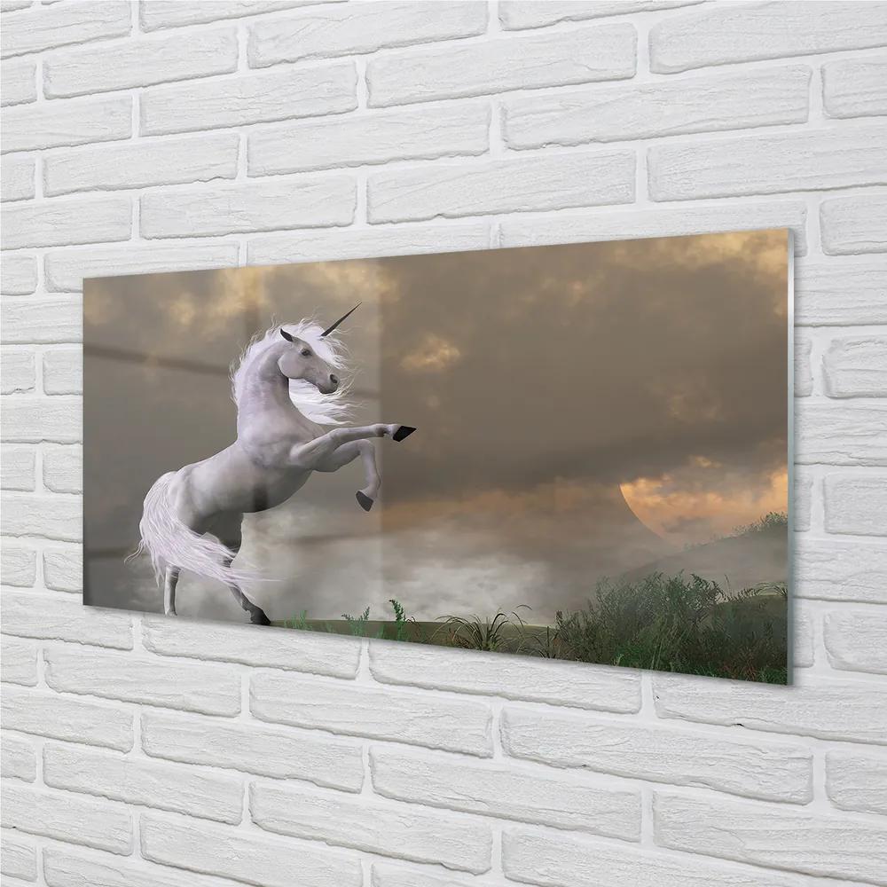 akrylový obraz Unicorn top 125x50 cm