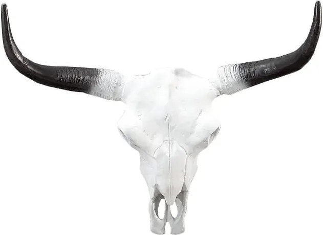 INV Dekorace lebka Hantor 70cm bílá-černá