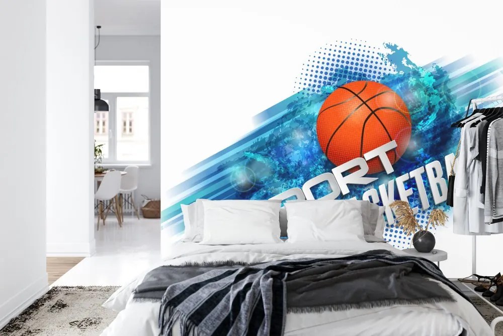 Fototapeta Basketbal V Moderním Stylu Samolepící tapety 270x180
