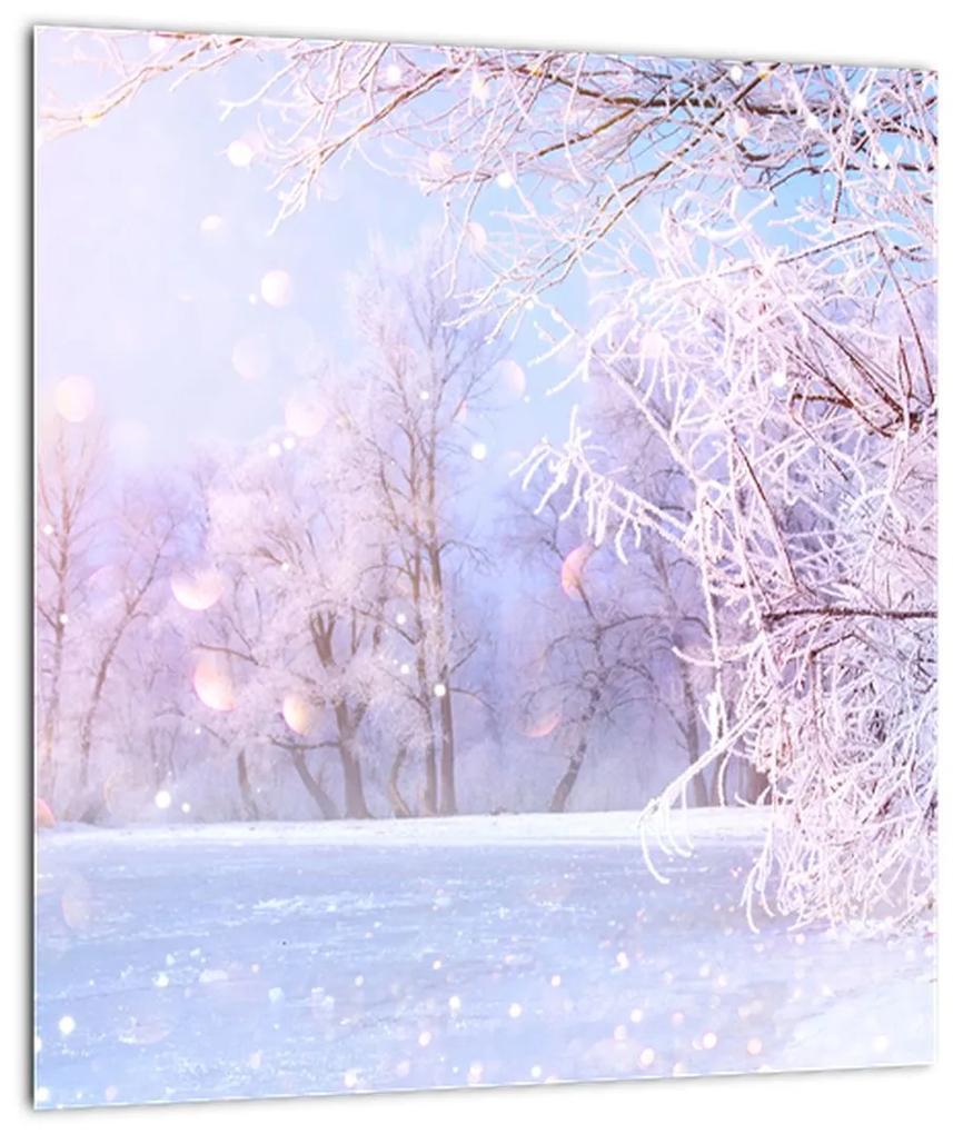 Obraz - Mrazivá zima (30x30 cm)