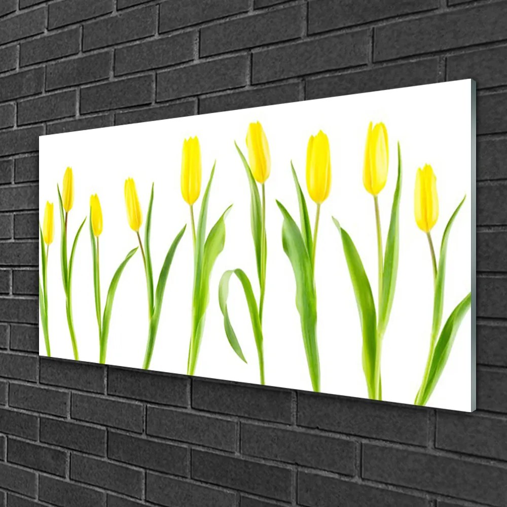 Obraz na skle Žluté Tulipány Květiny 125x50 cm