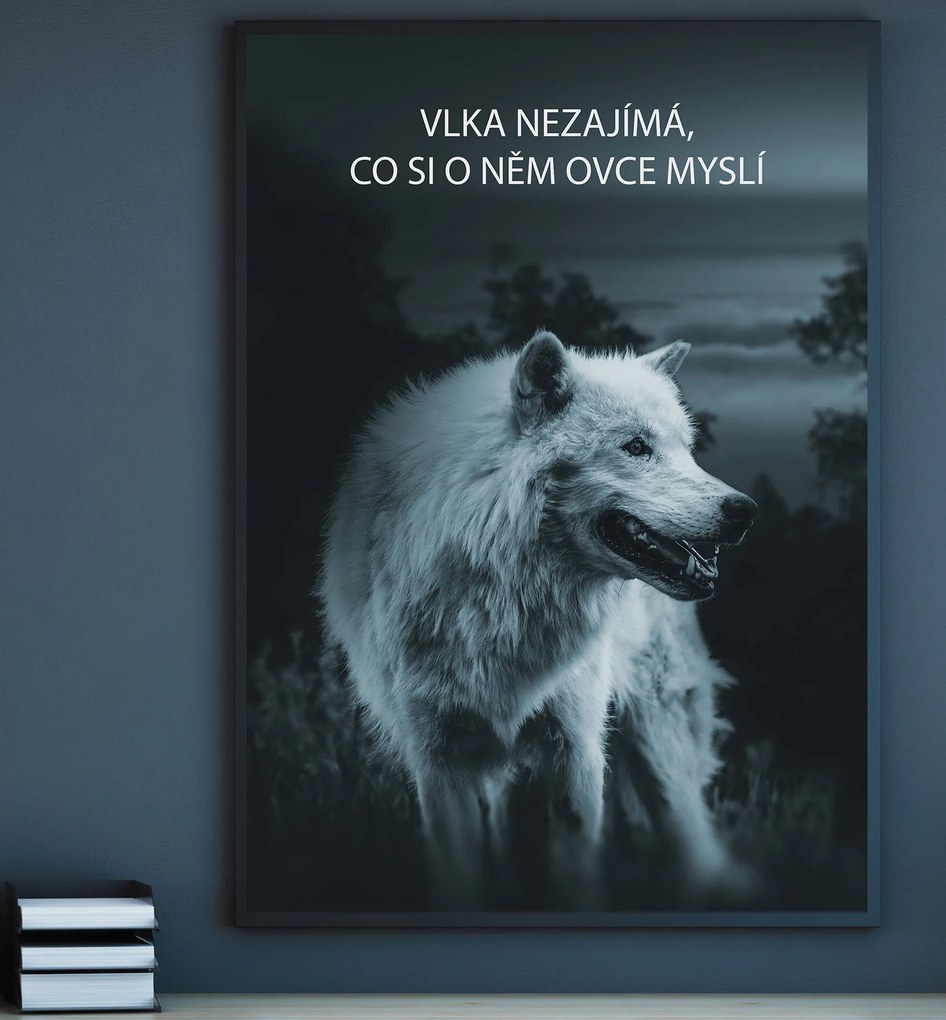 Pixada a wolf doesn't care about the opinion of sheep - motivační obraz Velikost: A3 - 29,7x42 cm, Volba rámu: s bílým rámem, Jazyk: Čeština