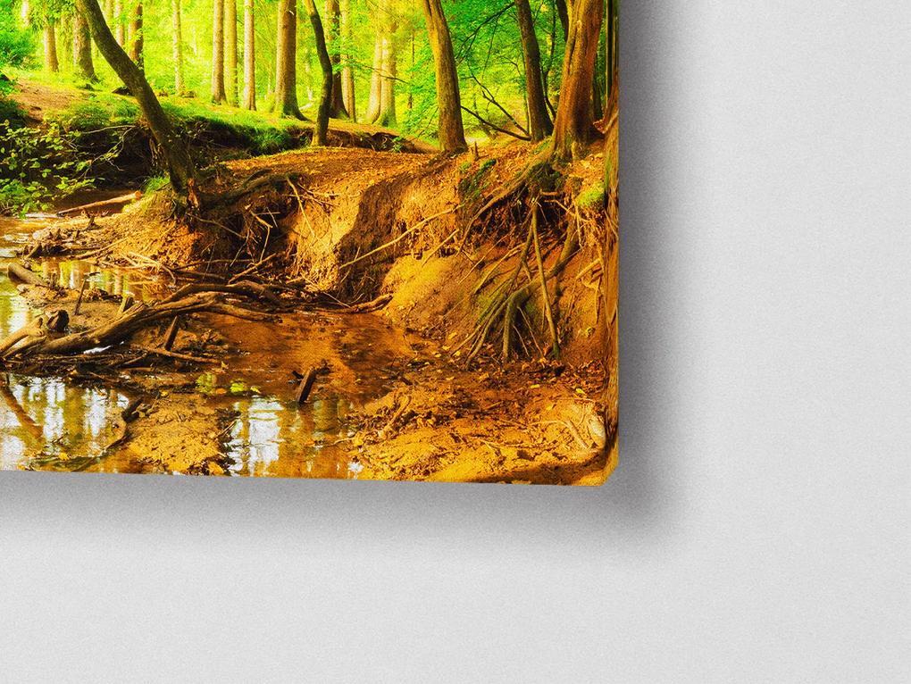 Liox Obraz lesní potok Rozměr: 150 x 60 cm