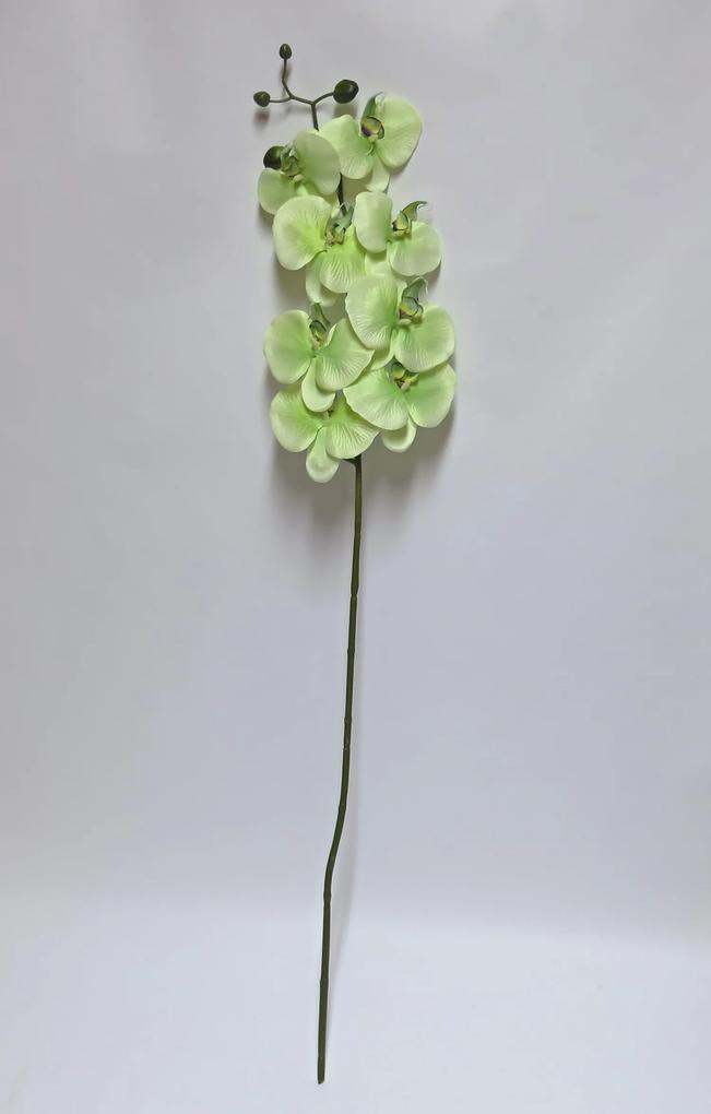 Orchidej sv. zelená 100cm