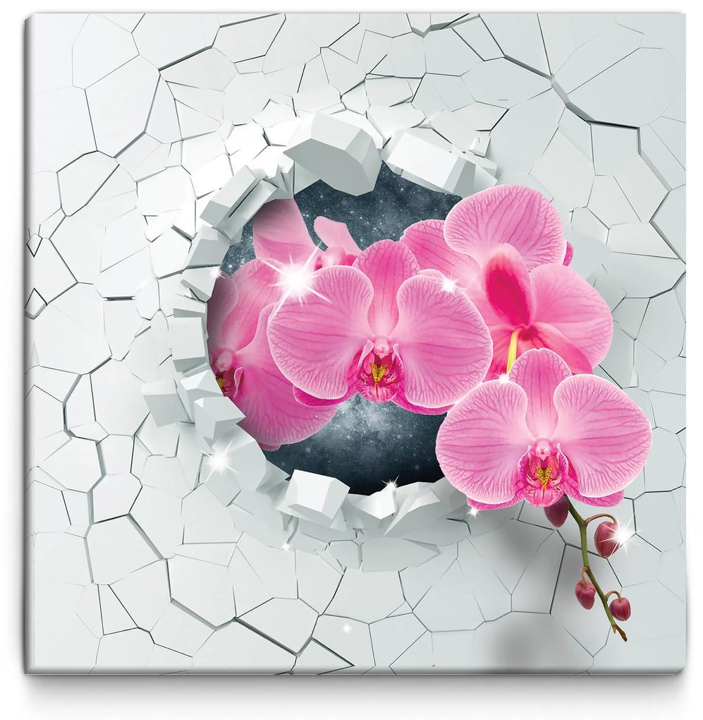Malvis ® Obraz - orchidej Velikost (šířka x výška): 60x60 cm