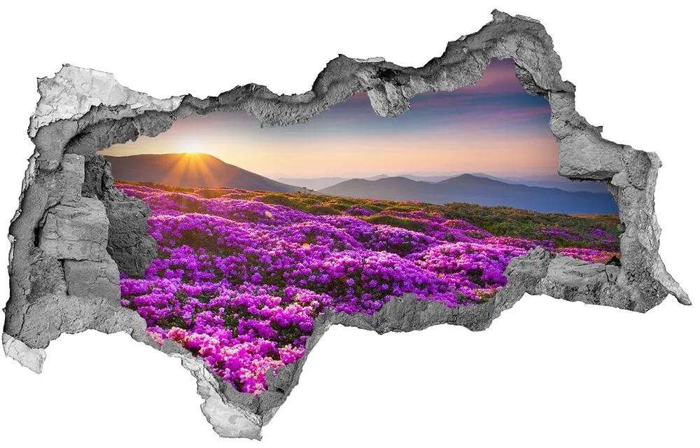 Wallmuralia Samolepící díra na stěnu Květiny v horách 95x73 cm
