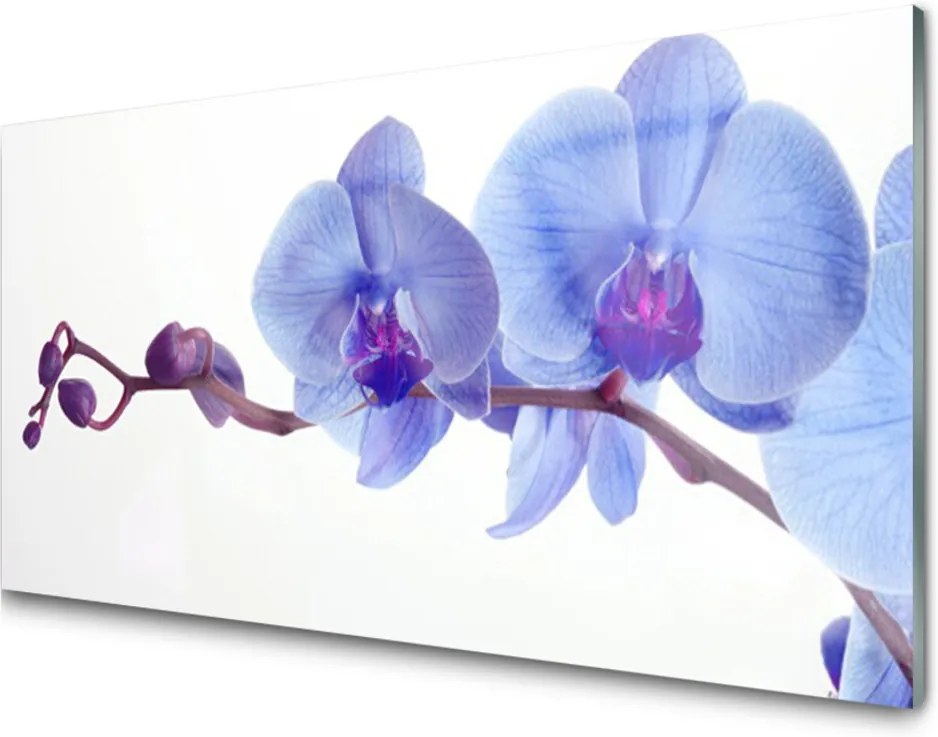 Obraz na skle Skleněný Květiny Rostlina