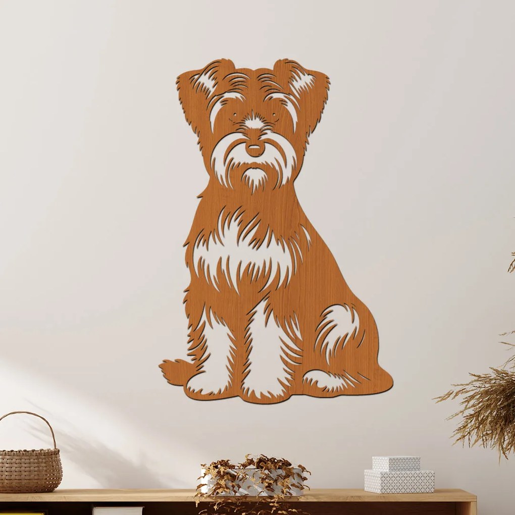dřevo života Dřevěný obraz Dandie Dinmont Terrier Zvolte rozměr (cm): 54x80, Zvolte barvu dekoru: Černá