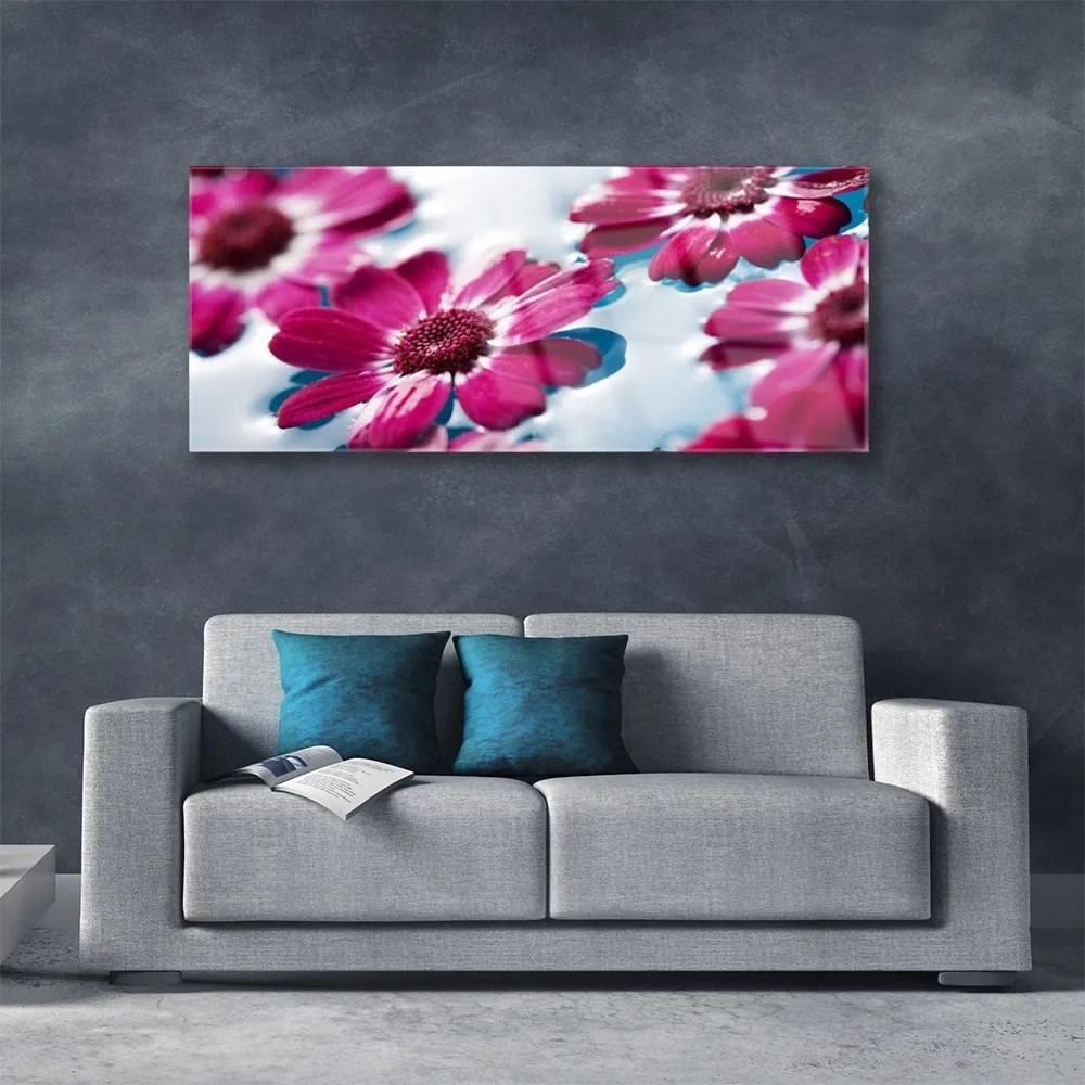 Plexisklo-obraz Květiny na Vodě Příroda 125x50 cm