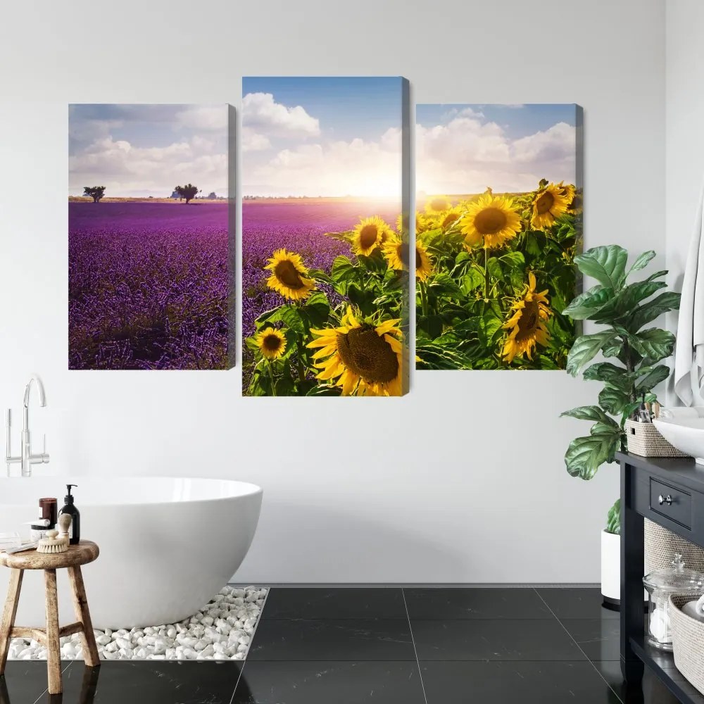 Vícedílný obraz Levandulová A Slunečnicová Pole 3D Nedostatek Nedostatek Plátno Canvas 120x80
