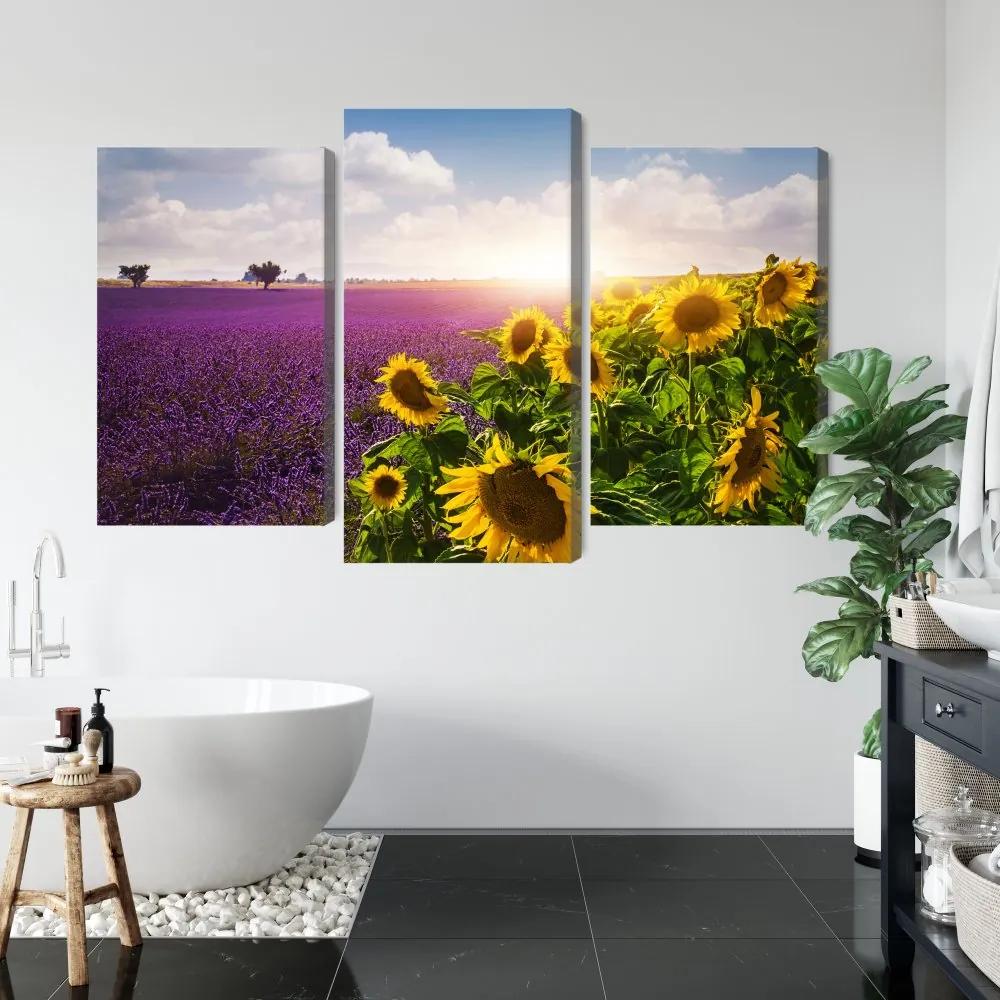 Vícedílný obraz Levandulová A Slunečnicová Pole 3D Nedostatek Nedostatek Plátno Canvas 180x120