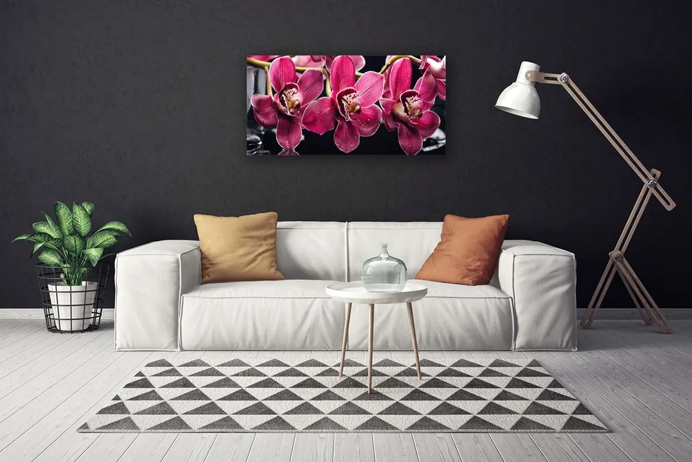 Obraz na plátně Květiny Orchideje  Výhonky Příroda 100x50 cm