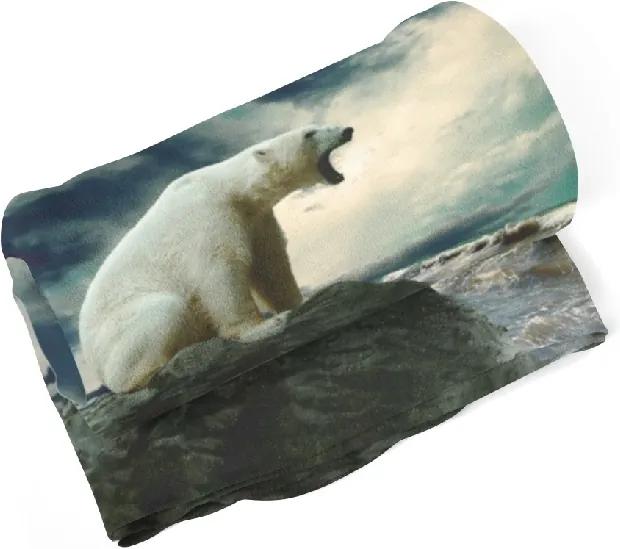 IMPAR Fleecová deka Lední medvěd 150x120 cm (Rozměr : 200 x 140 cm)