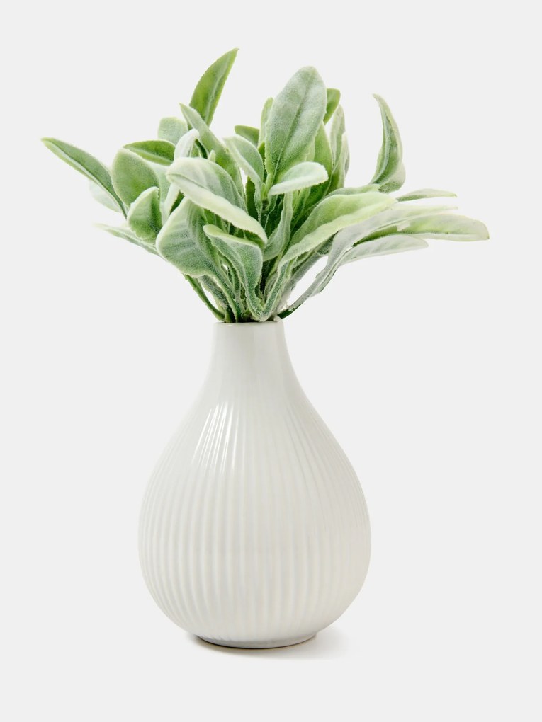 Sinsay - Dekorační rostlina v ryhované váze – šalvěj - bílá