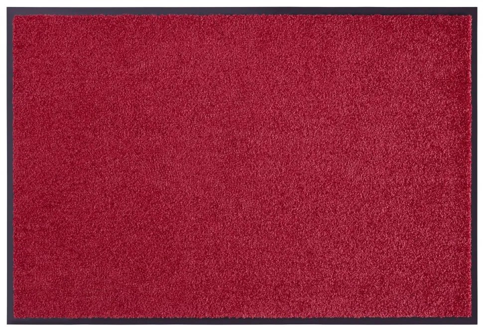 Hanse Home Collection koberce Rohožka Wash & Clean 101466 Bordeaux Rozměry koberců: 60x90