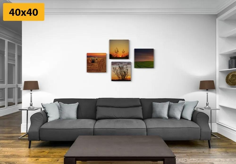 Set obrazů romantický západ slunce na louce - 4x 40x40 cm