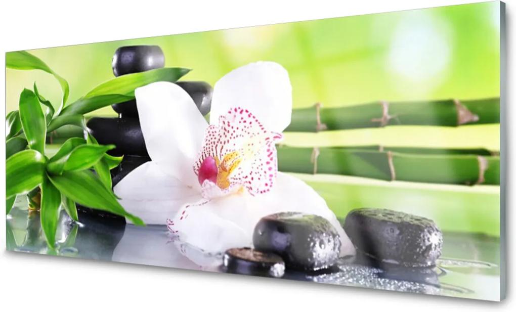 Skleněný obraz Orchidej Kameny Zen Bambus