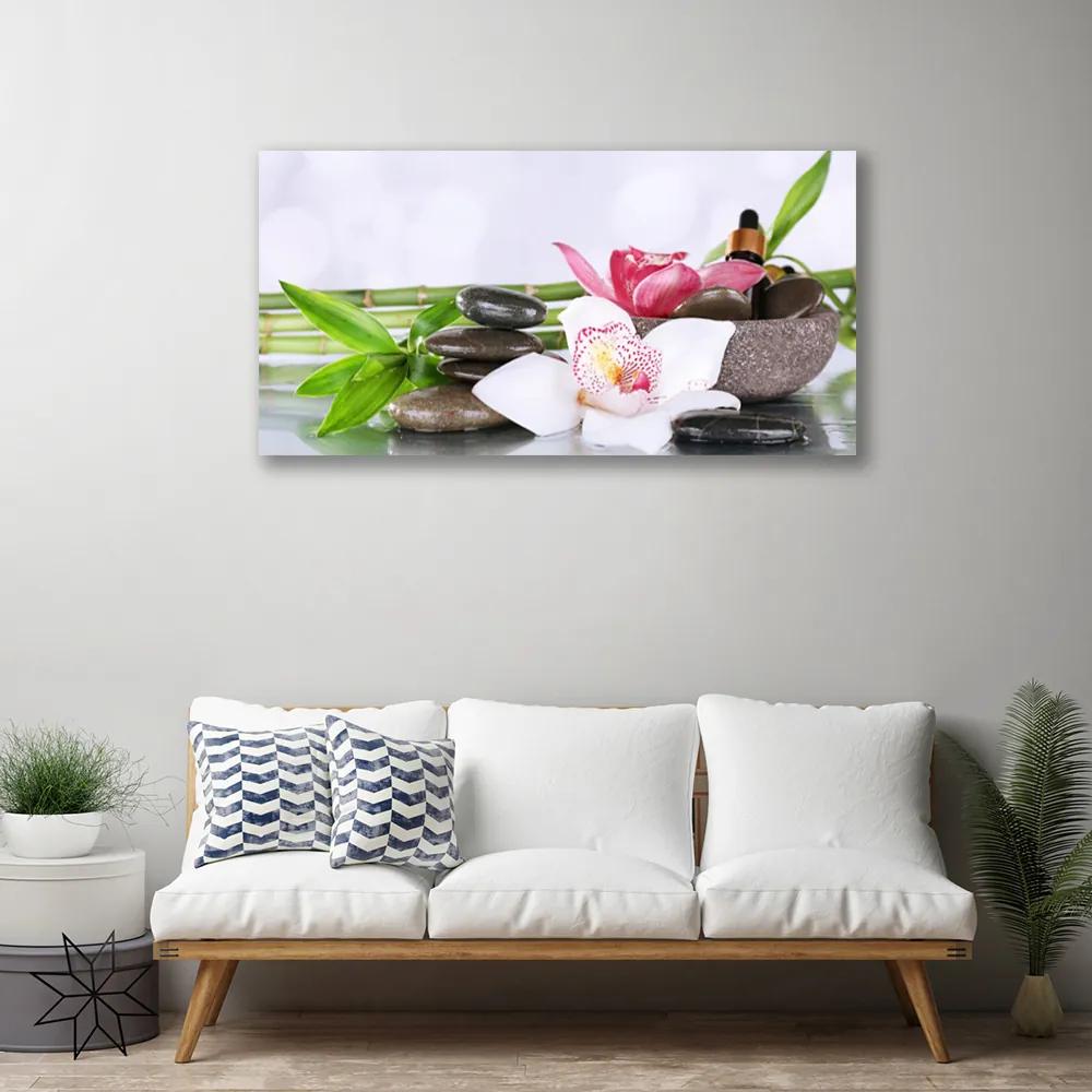 Obraz na plátně Orchidej Kameny Bambus 120x60 cm