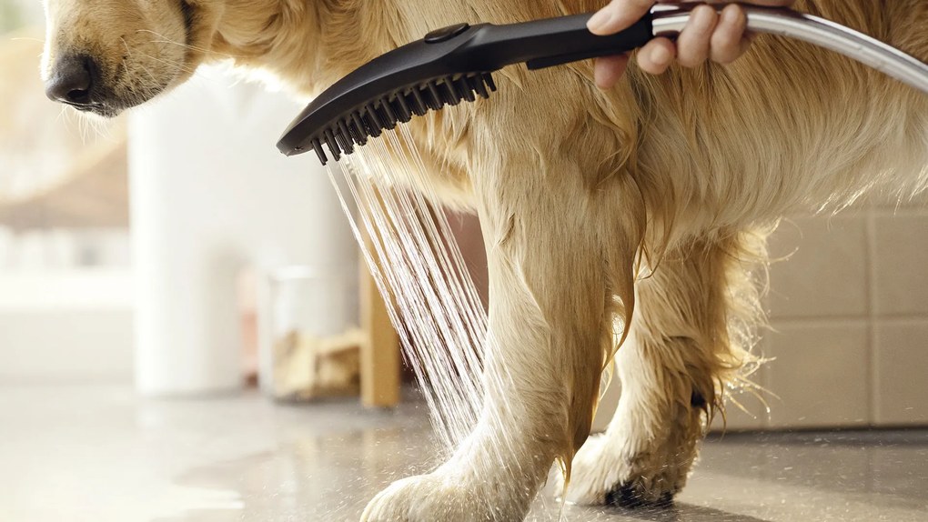 Hansgrohe DogShower, ruční sprcha pro psa, černá matná, HAN-26640670