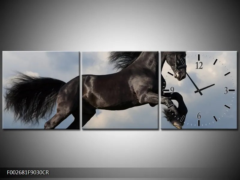 Obraz černého koně  (90x30 cm), 40 dalších rozměrů