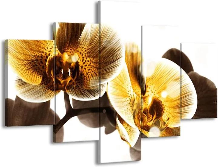 Zlaté orchideje 100x70 cm