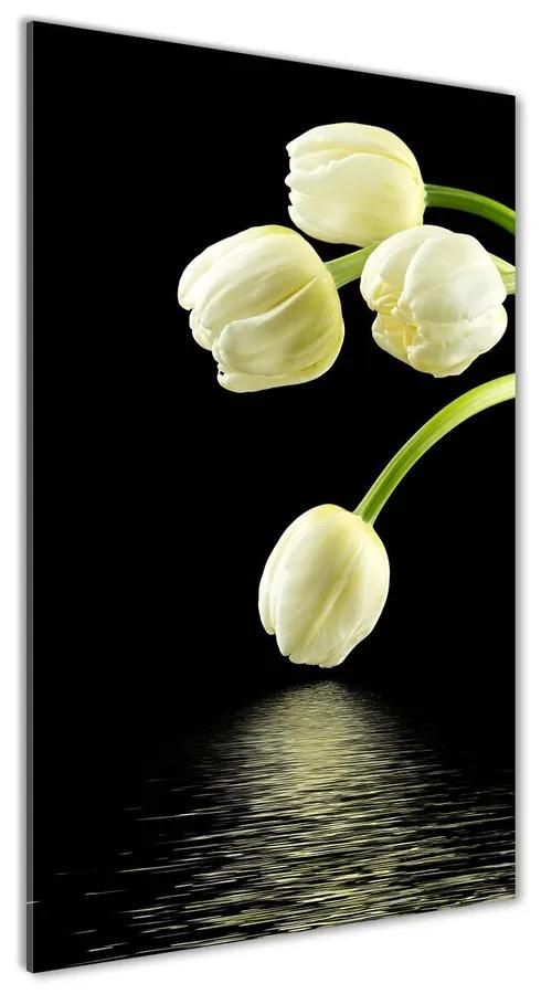 Wallmuralia Foto obraz fotografie na skle Bílé tulipány 60x120 cm