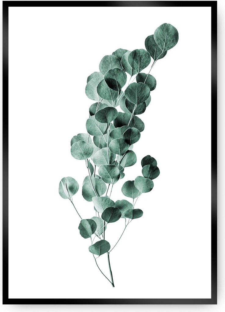 Plakát Eucalyptus Emerald Green