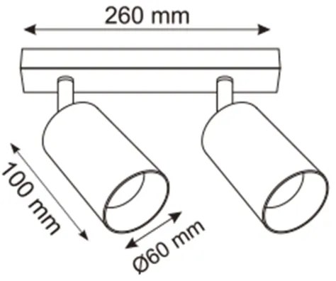 Zuma Line 2211BD-2-GLD - Bodové svítidlo REN 2xGU10/50W/230V zlatá