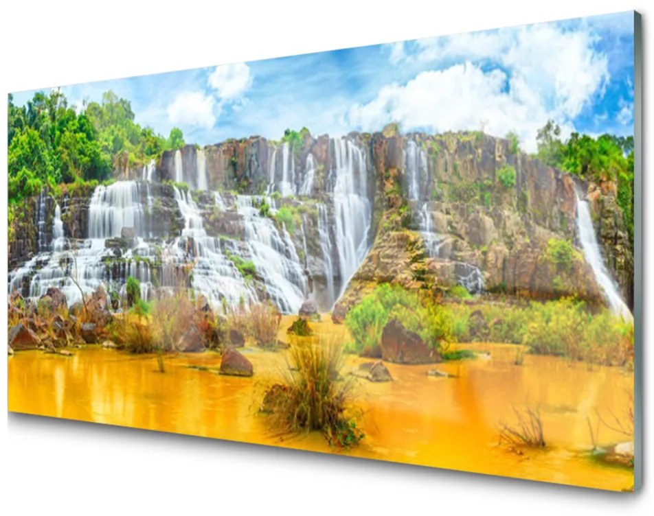 Skleněný obraz Vodopád Stromy Příroda