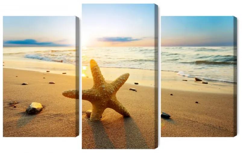 Vícedílný obraz Hvězdice Na Pláži 3D Nedostatek Nedostatek Plátno Canvas 180x120