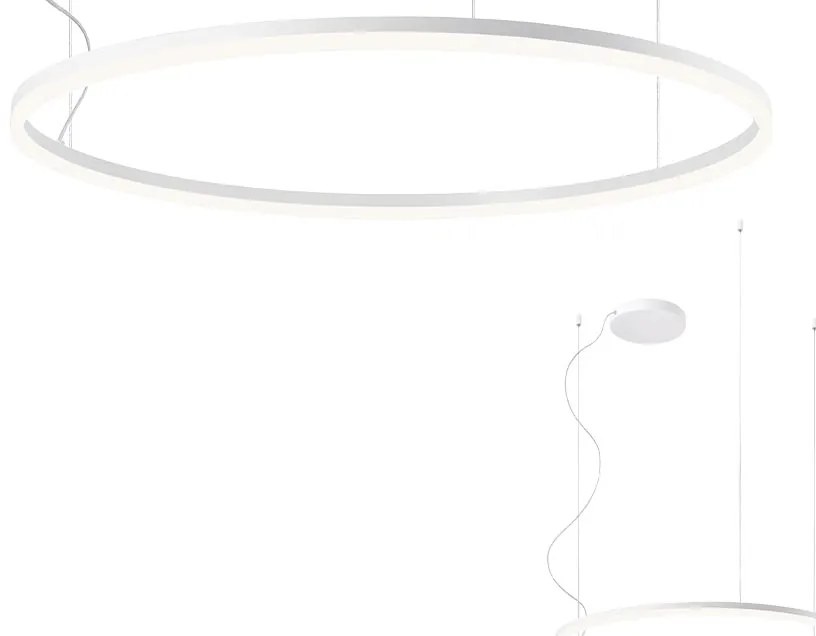 Redo group Redo Orbit direct, závěsné kruhové svítidlo, 55W LED 4000K DALI, bílá, prům. 80cm