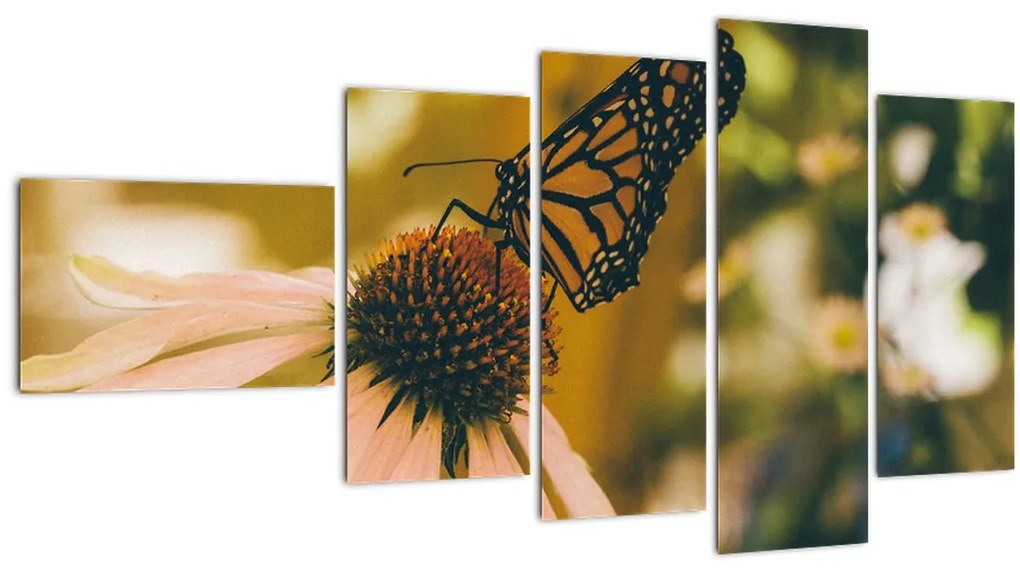 Obraz motýla na květině (110x60 cm), 40 dalších rozměrů