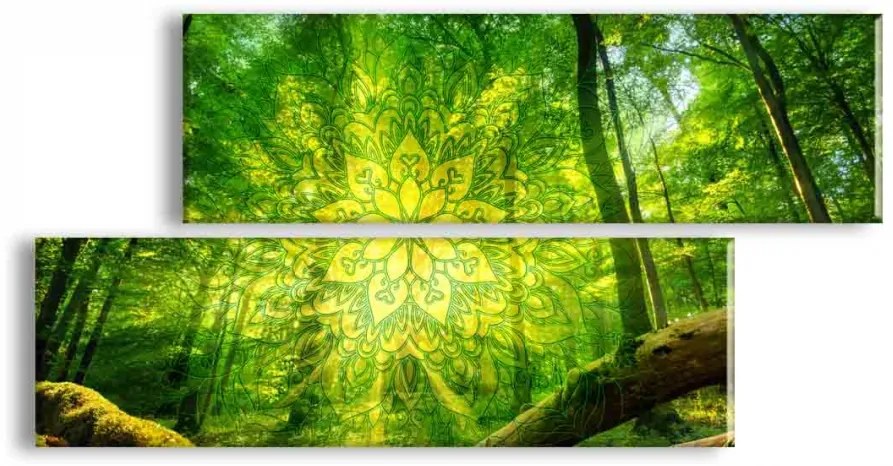Obraz Mandala lesa Velikost (šířka x výška): 120x60 cm
