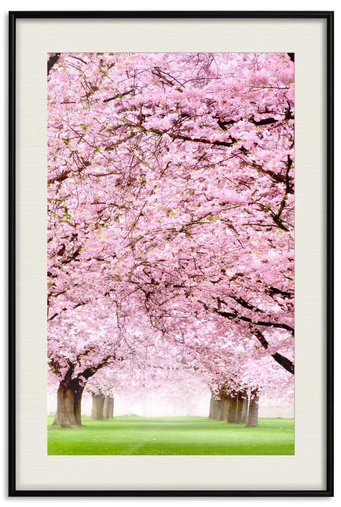 Plakát Třešňový sad - krajina zelené trávy a stromů s růžovými listy