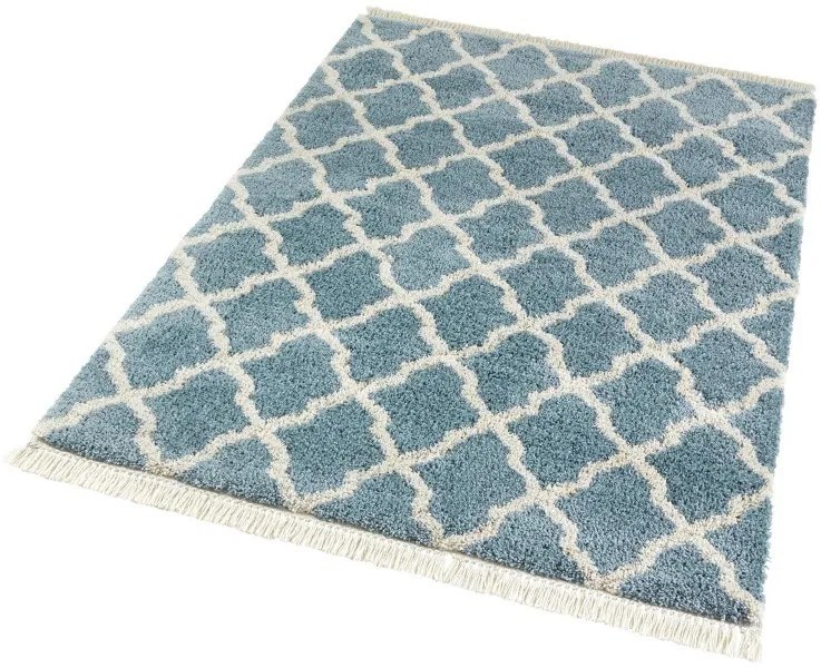 Mint Rugs - Hanse Home koberce AKCE: 80x200 cm Kusový koberec Desiré 103326 Blau - 80x200 cm