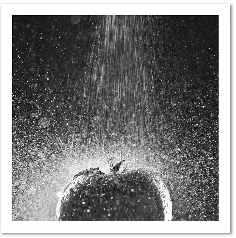 Gario Obraz na plátně Rajče v proudu vody Rozměry: 30 x 30 cm