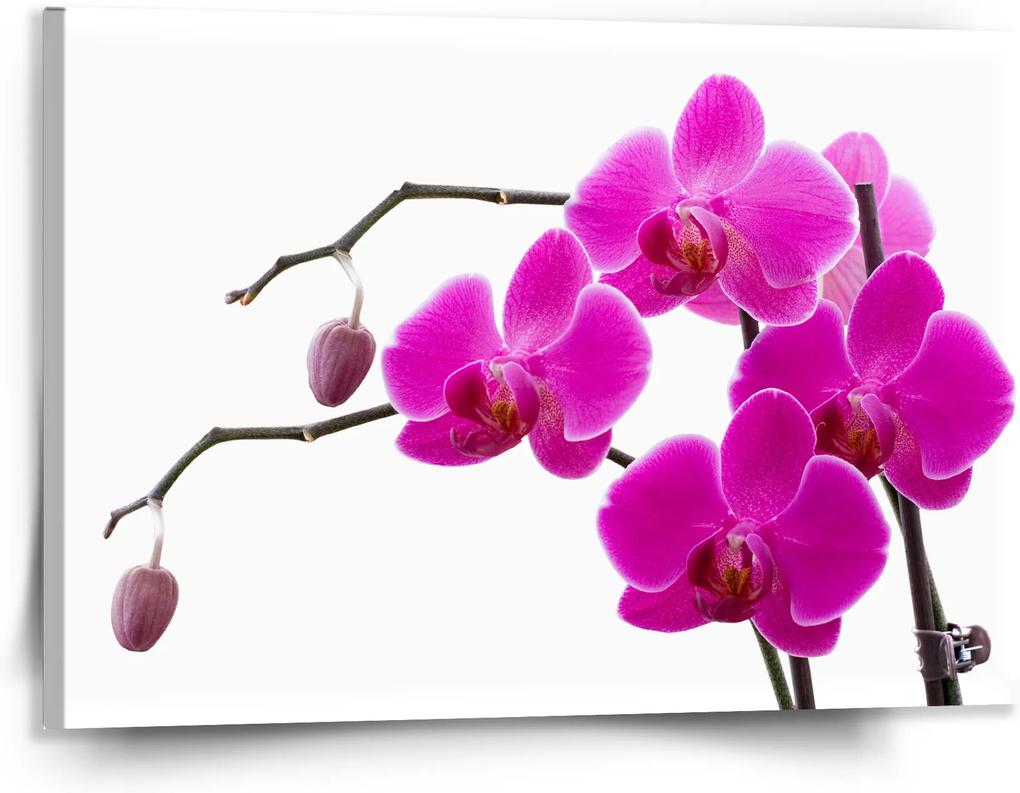 Obraz - Fialové orchideje 150x110 cm
