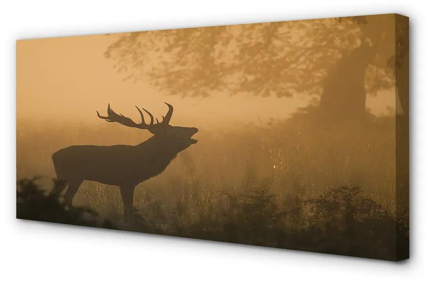 Obrazy na plátně jelen sunrise 125x50 cm