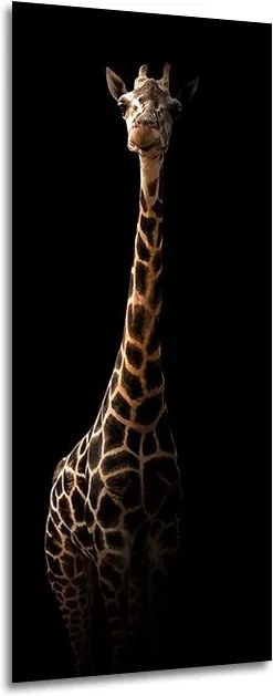 Obraz na skle Styler  -  Giraffe 50x125 cm