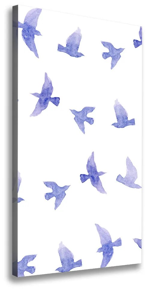 Wallmuralia Vertikální Foto obraz na plátně Modré vlaštovky 50x100