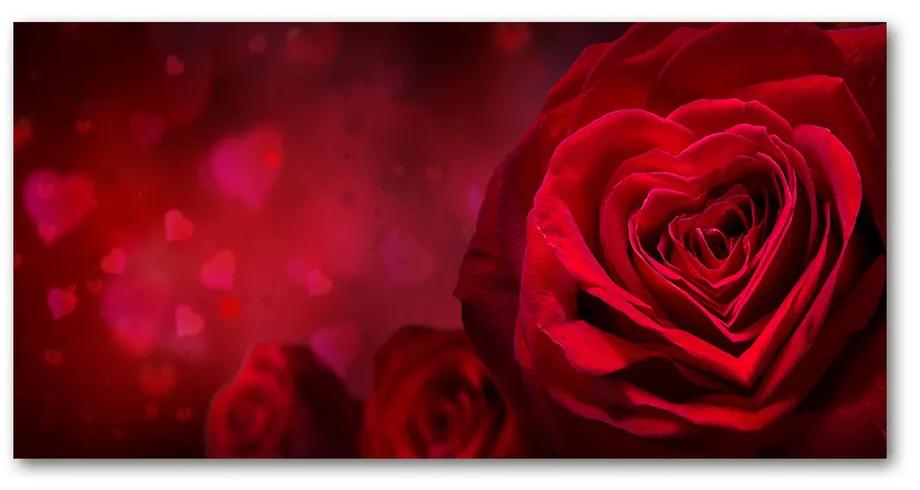 Wallmuralia Foto obraz akryl do obýváku Červená růže srdce 120x60 cm