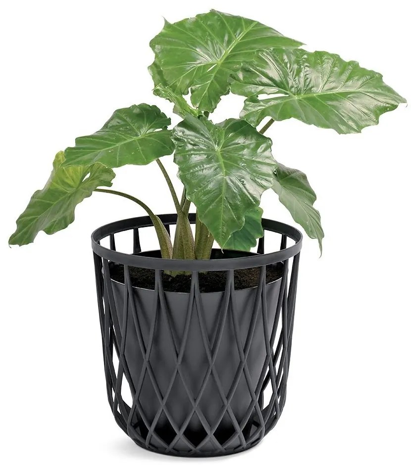 Univerzální koš, 35 l, antracit