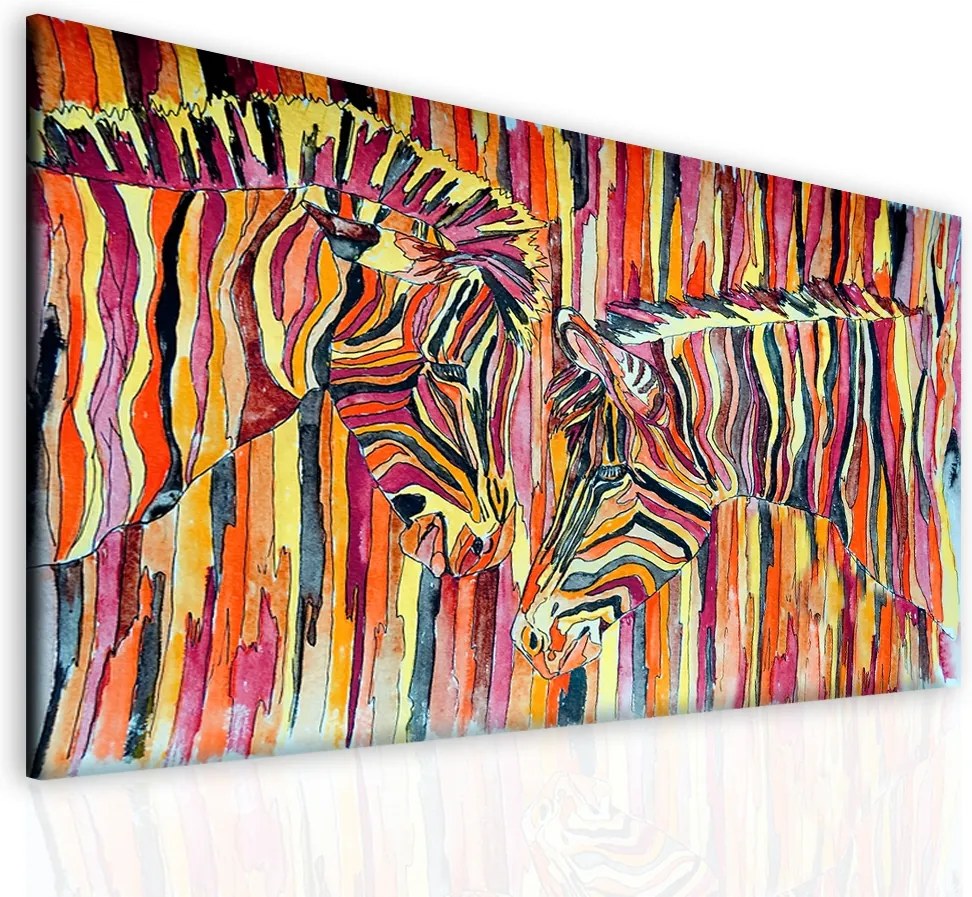 Obraz barevné zebry (90x60 cm) - InSmile ®