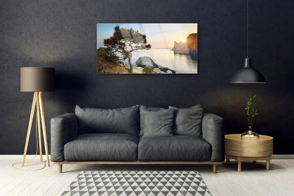 Obraz na skle Jezero Strom Krajina 125x50 cm