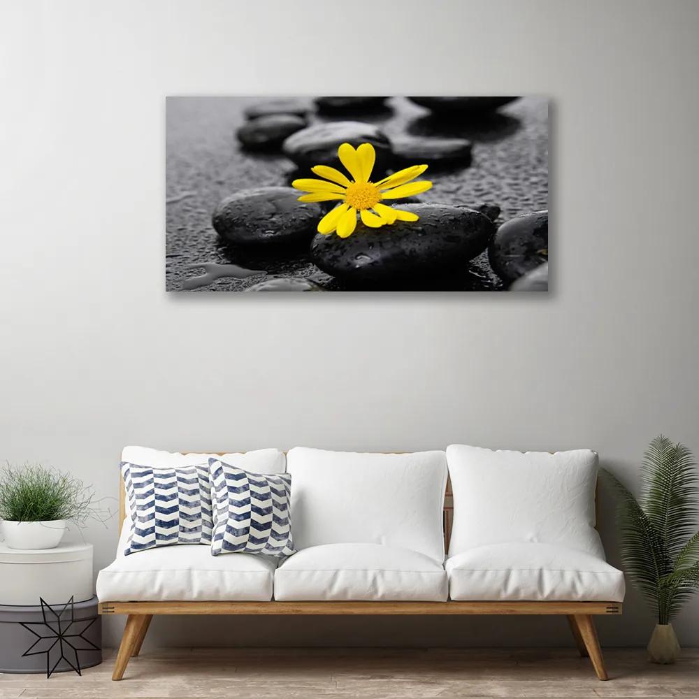 Obraz na plátně Květ Kameny Rostlina Lázně 125x50 cm