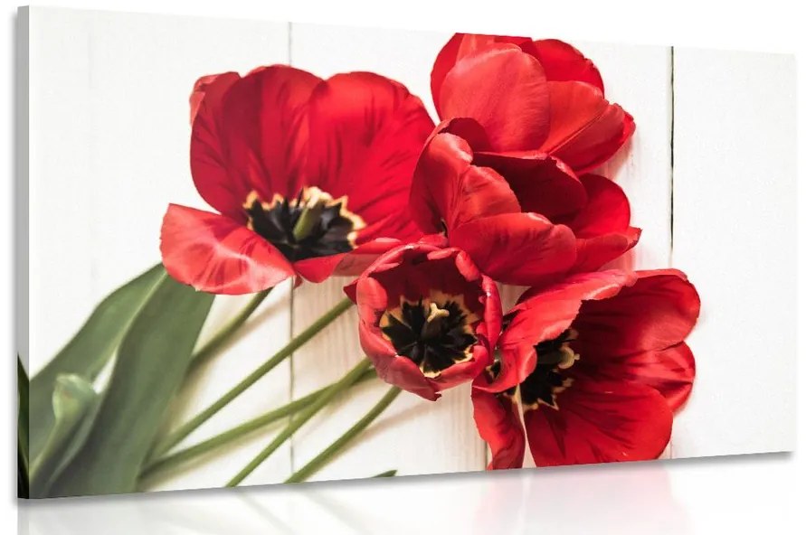 Obraz rozkvetlé červené tulipány